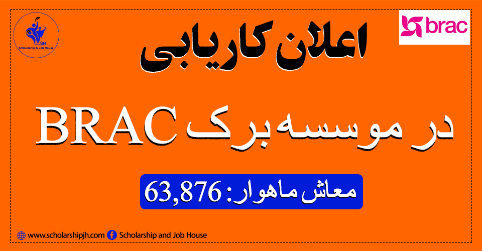 BRAC Organization announced the MIS Manager job in Kabul. - Scholarship ...